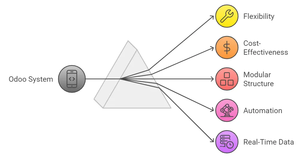 Why Odoo System is Crucial for Business Efficiency